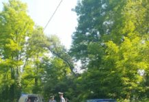 RTV SLON | Radio | Televizija | Slon