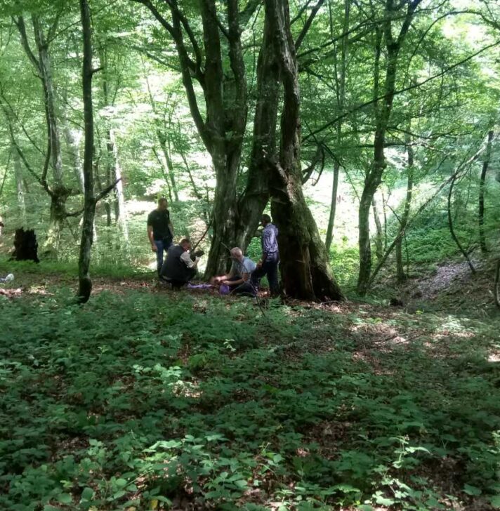 RTV SLON | Radio | Televizija | Slon