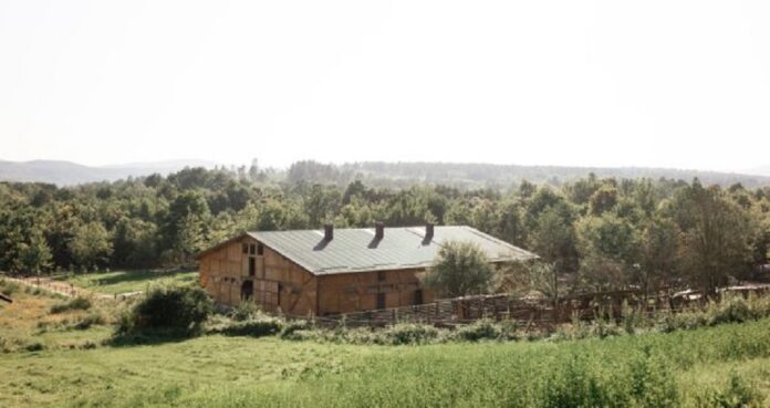 Izgorjela farma koza i ovaca "Milo selo" na Ozrenu - RTV SLON