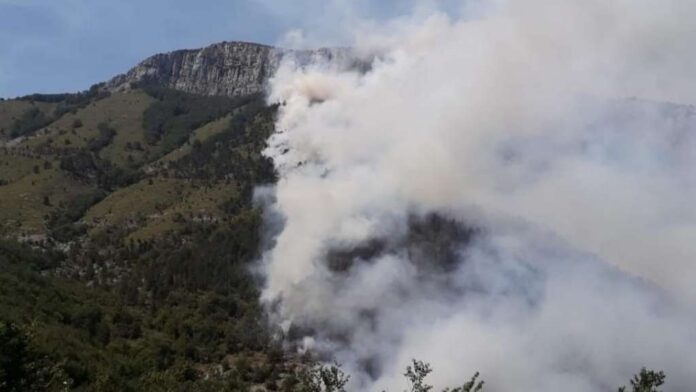 Situacija na požarištima u Neumu bolja - RTV SLON Situacija na požarištima u Neumu bolja - RTV SLON