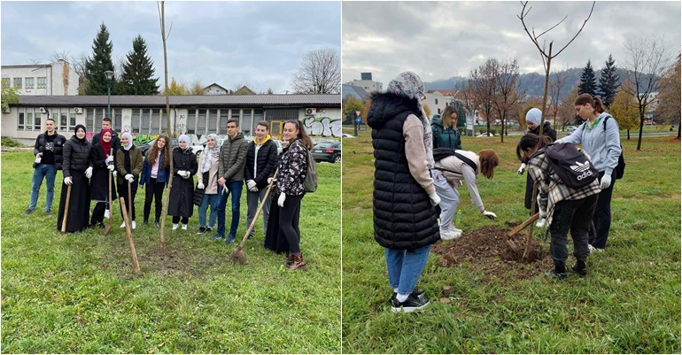 U Tuzli uspješno realizovana akcija sadnje drveća - RTV SLON